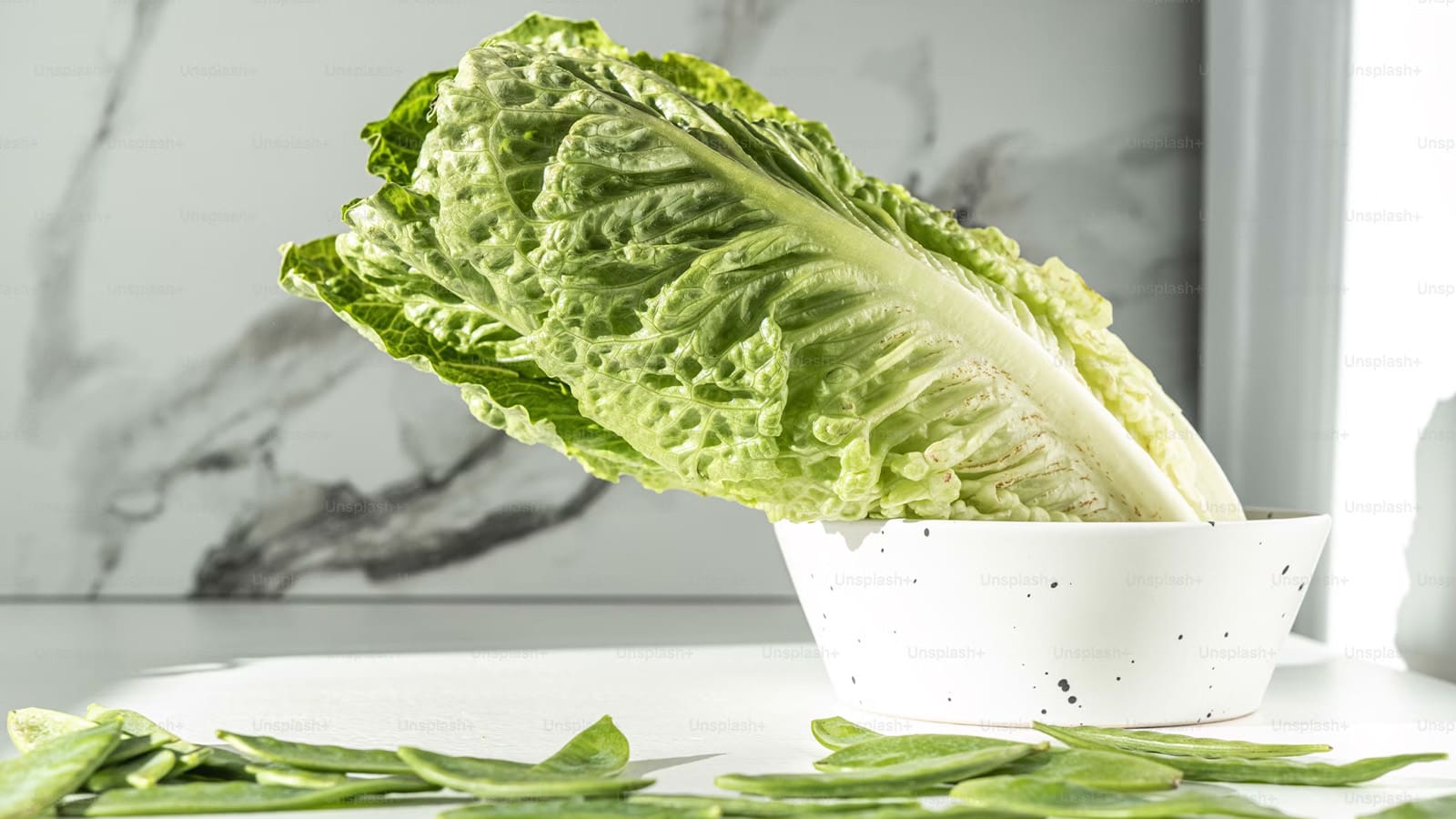 How to keep salad fresh store